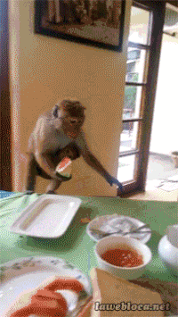 Breakfasts GIFs - Get the best gif on GIFER