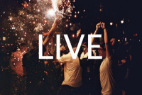 Happyness GIFs - Get the best gif on GIFER