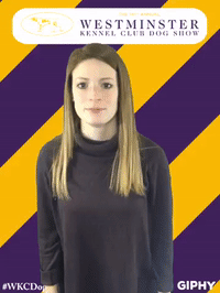 Exposition GIFs - Get the best gif on GIFER