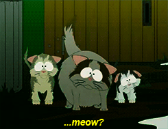 Major boobage GIF - Conseguir el mejor gif en GIFER