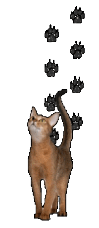 Strutting GIFs - Get the best gif on GIFER