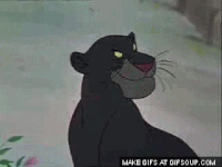 Bagheera GIFs - Get the best gif on GIFER