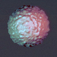 Celula GIFs - Get the best gif on GIFER