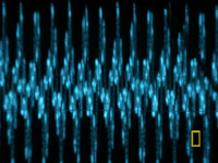 Sound wave GIFs - Get the best gif on GIFER