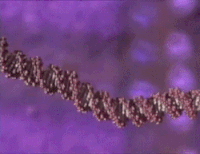 Epigenetics GIFs - Get the best gif on GIFER