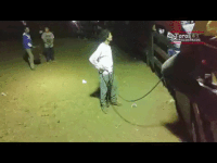 Dairy queen GIFs - Get the best gif on GIFER
