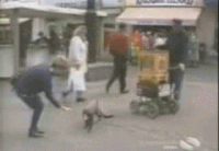 Impolite GIFs - Get the best gif on GIFER