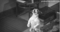 Sake GIFs - Get the best gif on GIFER