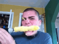 Cob GIFs - Get the best gif on GIFER