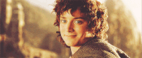 Frodo GIFs - Get the best gif on GIFER