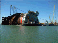 Platform GIFs - Get the best gif on GIFER