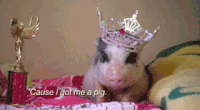 Tiara GIFs - Get the best gif on GIFER