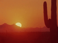 Desert GIFs - Get the best gif on GIFER