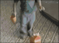 Spilling GIFs - Get the best gif on GIFER