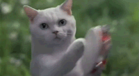 Hitting GIFs - Get the best gif on GIFER