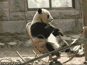 Sitting on rocking chair GIF - Conseguir o melhor gif em GIFER
