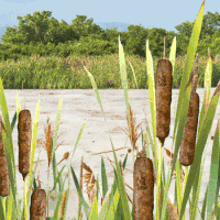 Hamstrings GIF - Conseguir o melhor gif em GIFER