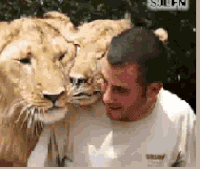 Taming GIFs - Get the best gif on GIFER