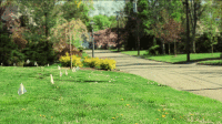 Lawn GIFs - Get the best gif on GIFER