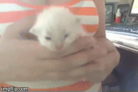 Addition GIFs - Get the best gif on GIFER