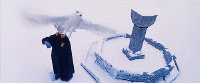 Hedwig GIFs - Get the best gif on GIFER