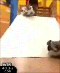 Inflatable pool GIF - Conseguir el mejor gif en GIFER