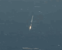 Musk GIFs - Get the best gif on GIFER