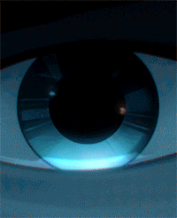 Bundle GIFs - Get the best gif on GIFER