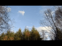 Enhancing GIFs - Get the best gif on GIFER