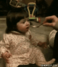 Grapefruit GIFs - Get the best gif on GIFER