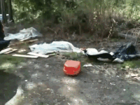 Gasoline GIFs - Get the best gif on GIFER