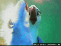 Rio GIFs - Get the best gif on GIFER