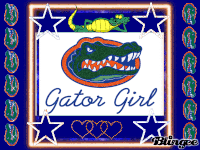 Gator GIFs - Get the best gif on GIFER
