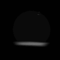 Splat GIFs - Get the best gif on GIFER