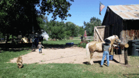Prairie GIFs - Get the best gif on GIFER