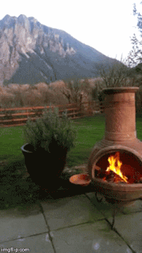 Backyard GIFs - Get the best gif on GIFER