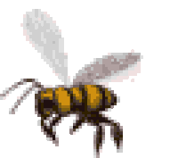 Bee GIFs - Get the best gif on GIFER