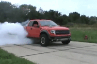 Raptor GIFs - Get the best gif on GIFER