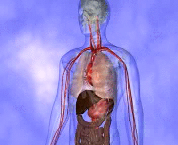 Medicine гифки, анимированные GIF изображения medicine - скачать гиф ...