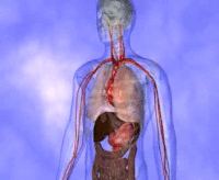 Science GIFs, download best Gif images with Science - GIFER