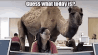 Wednesday GIFs - Get the best gif on GIFER