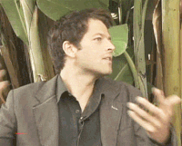 Cass GIFs - Get the best gif on GIFER