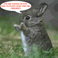 Spoof GIFs - Get the best gif on GIFER