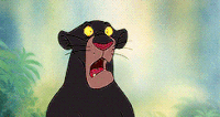 Bagheera GIFs - Get the best gif on GIFER