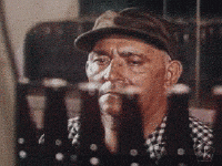 Cubano GIFs - Get the best gif on GIFER