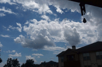 Partly GIFs - Get the best gif on GIFER