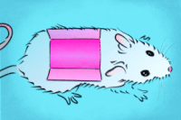 Procurement GIFs - Get the best gif on GIFER