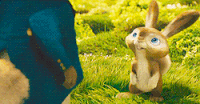 Monty Python And The Holy Grail Bunny Gif