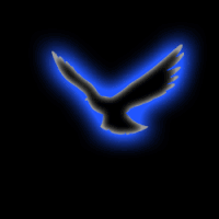 Ястреб гифки, анимированные GIF изображения ястреб - скачать гиф ...