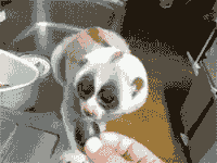 Grap GIFs - Get the best gif on GIFER